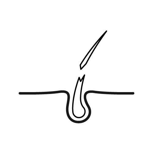 Teigne : quels sont les premiers symptômes et les traitements