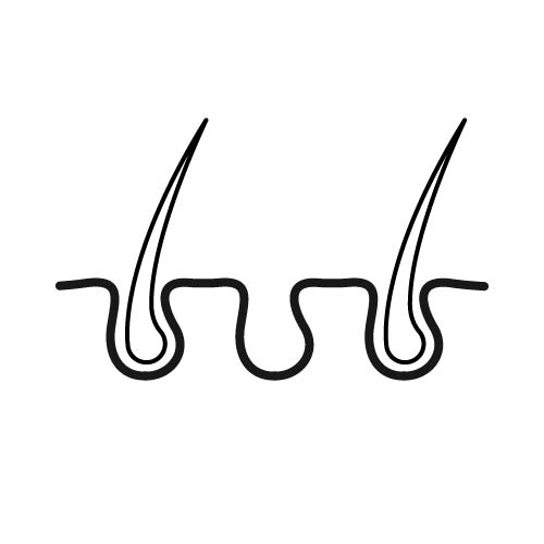 Teigne : quels sont les premiers symptômes et les traitements